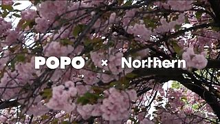 POPO Bremen - Einrichten seit 1976